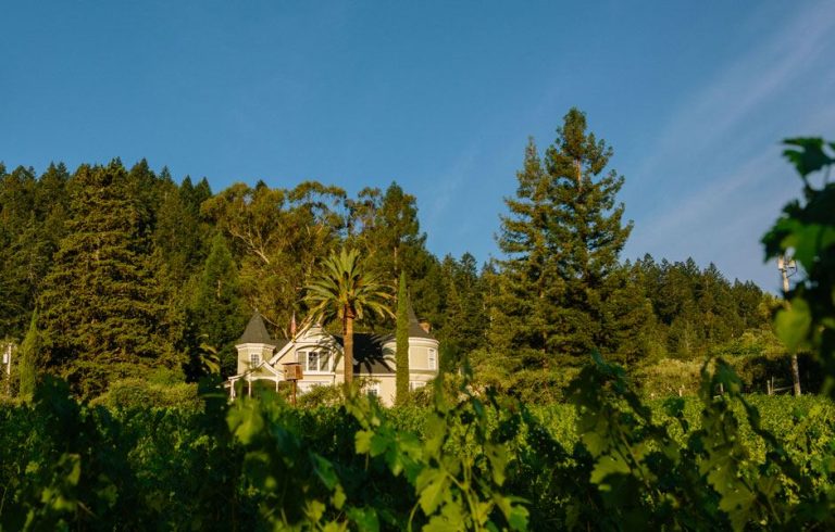 The Ten Most Expensive Wines from California » Cellar Tours
