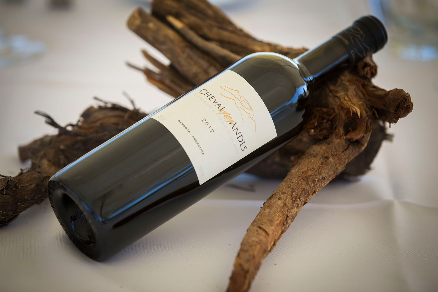 Top 10 Iconic Argentine Wines: A Curated Selection | Cellar Tours™