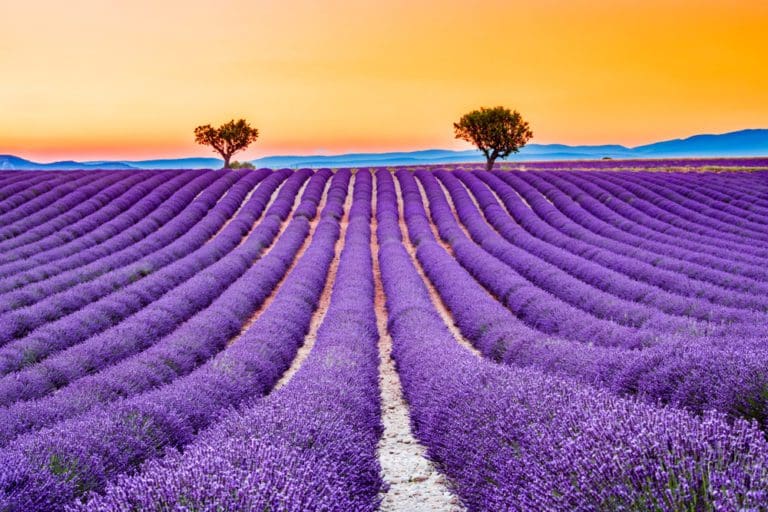 Provence's Most Beautiful Villages: Discover Enchanting Charm and Views!