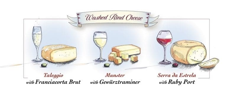 Wine and Cheese Pairings | a Guide by Cellar Tours™