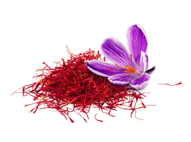 Discover the Flavors of Spanish Spices