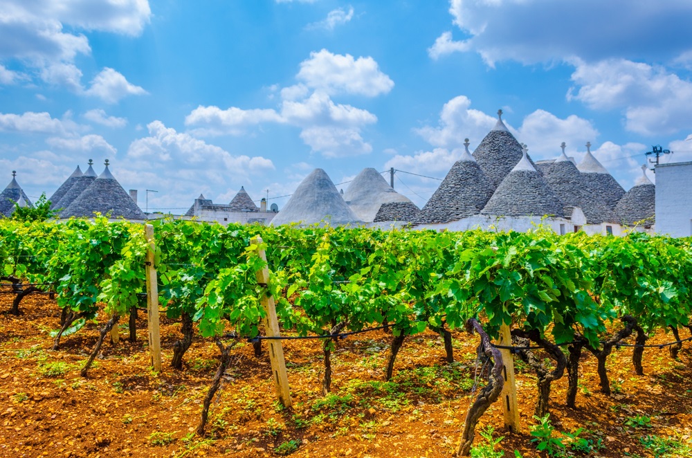 Primitivo Wine: An Introduction to Puglia's mythical grape » Cellar Tours