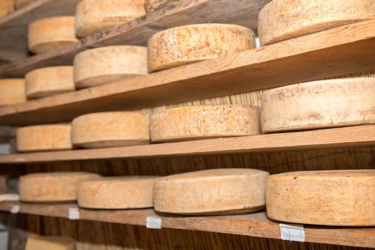 Explore Trentino Alto-Adige: Must-Try Tyrolean Cuisine | Cellar Tours™