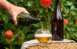 Norman Gastronomy Guide: Discover Authentic Flavors | Cellar Tours™