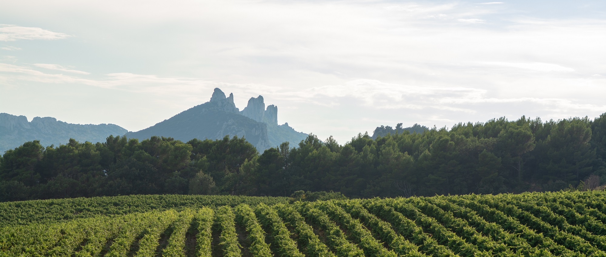 Gigondas Wine Region | a Guide by Cellar Tours™