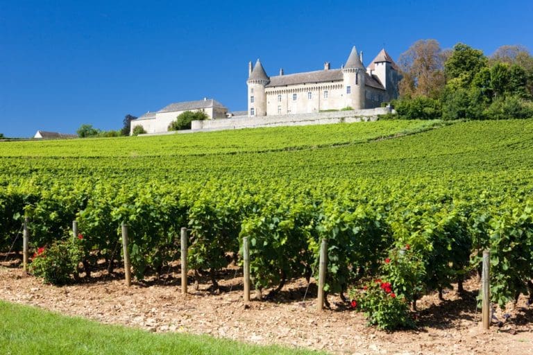 An In-depth Guide to French Red Wines by Region | Cellar Tours™