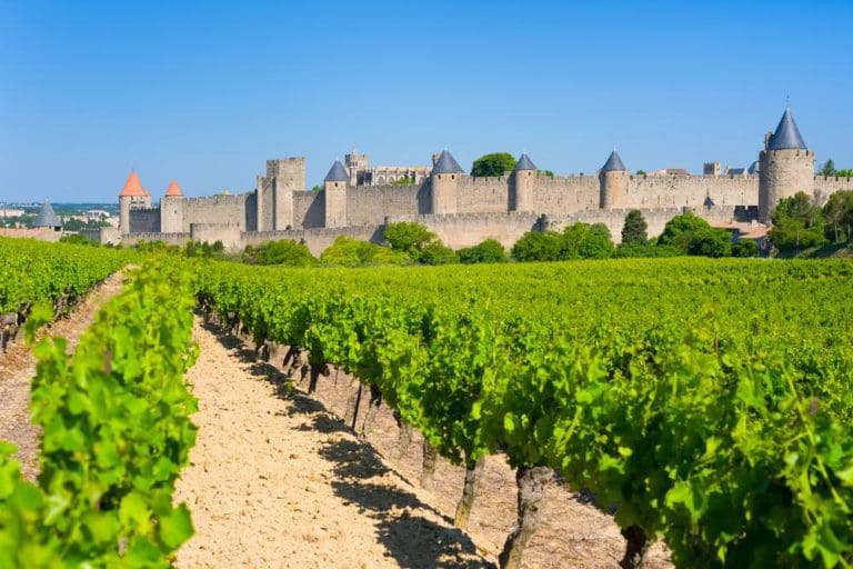 An In-depth Guide to French Red Wines by Region | Cellar Tours™