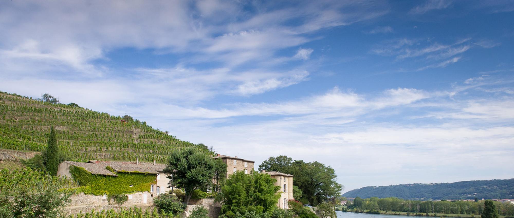 Condrieu Wine Region » Cellar Tours