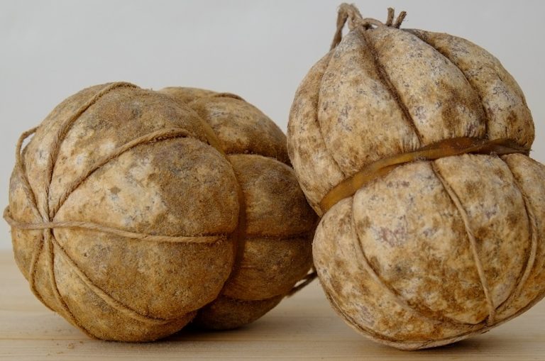 Emilia Romagna's Charcuterie | a Guide by Cellar Tours™