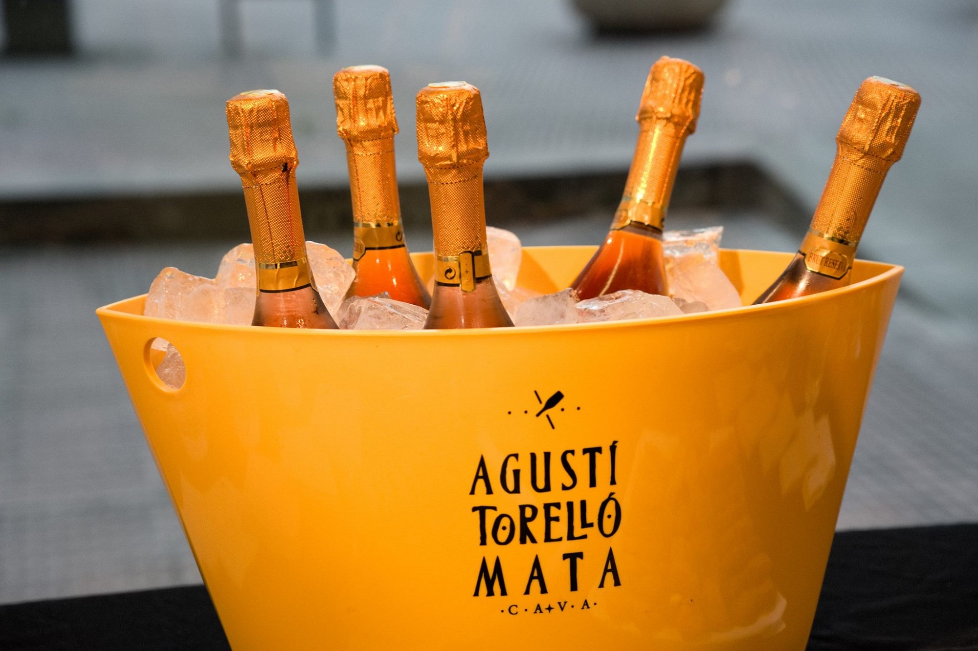 What is Cava? Discover Spanish Sparkling Wine