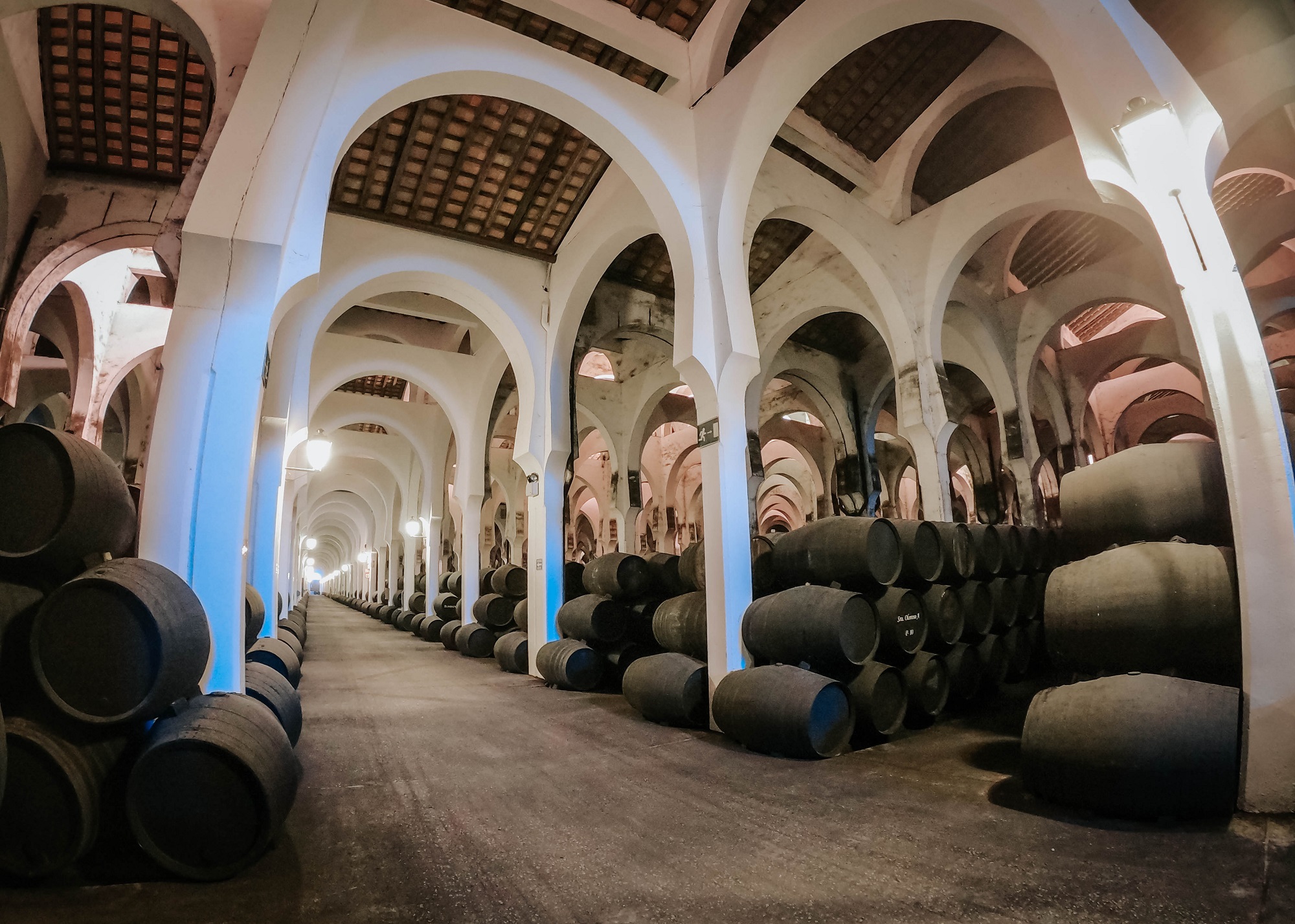 Discover the World of Sherry: A Comprehensive Guide for Wine Lovers