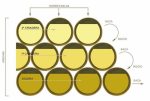Discover the World of Sherry: A Comprehensive Guide for Wine Lovers