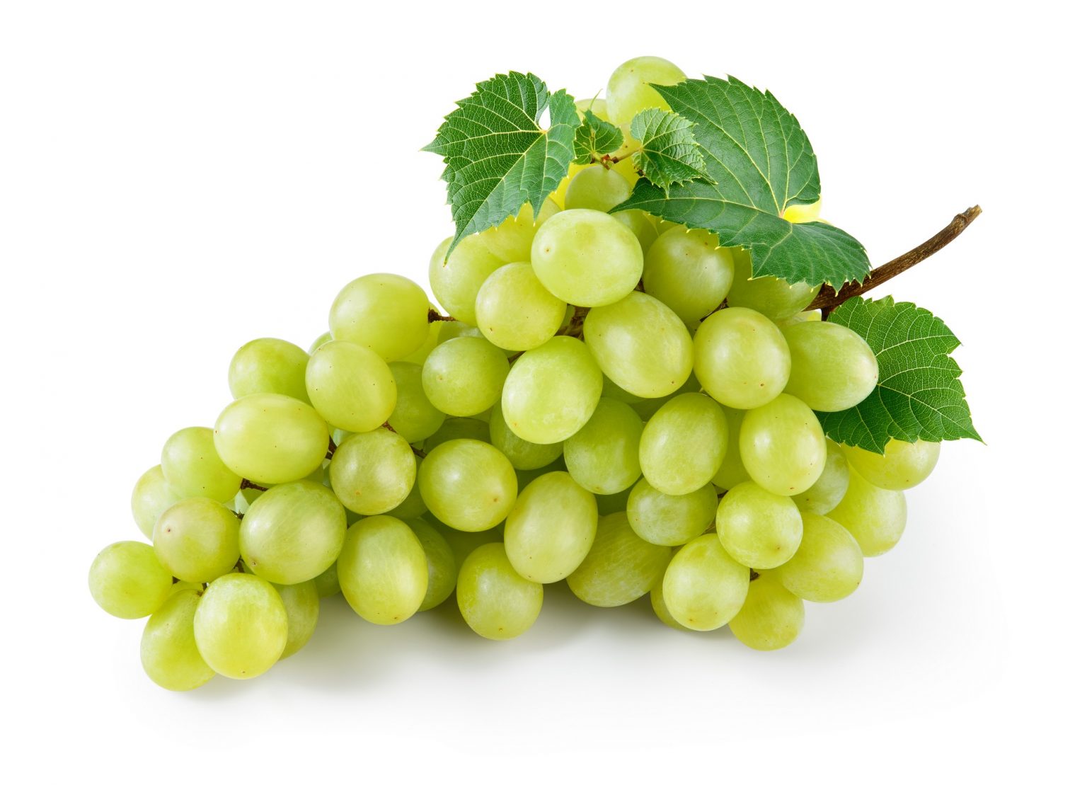 Spanish Wine Grape Varieties: From Albariño to Xarel-lo