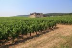 Demystifying Burgundy Wine Classifications
