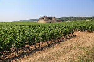 Demystifying Burgundy Wine Classifications