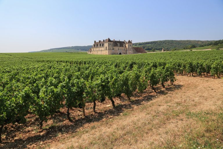 Demystifying Burgundy Wine Classifications