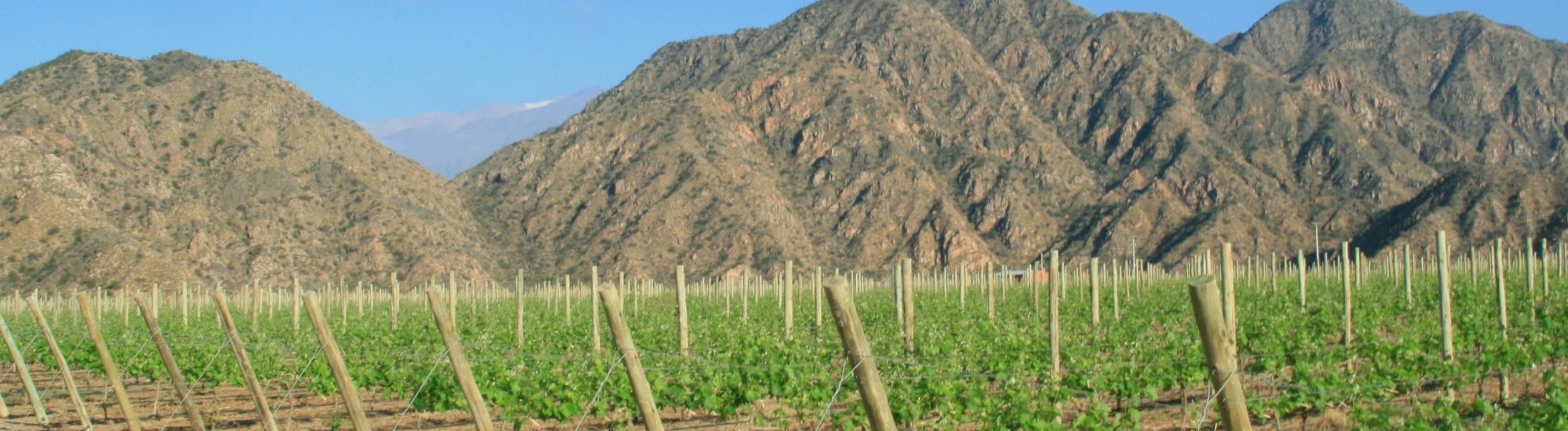 La Rioja Wine Region | a Guide by Cellar Tours™