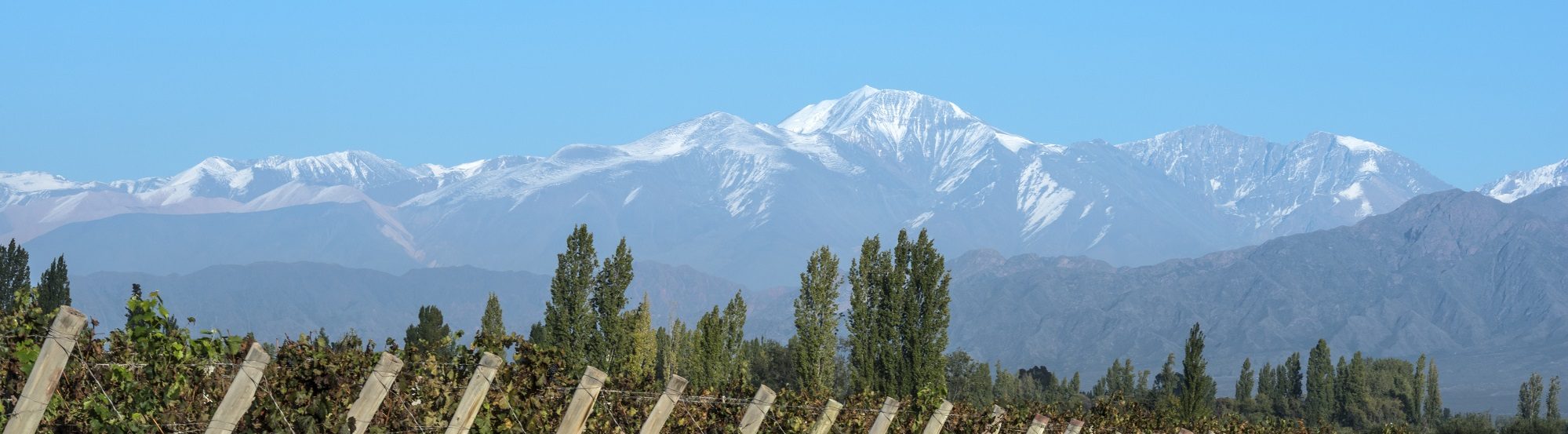 Maipu Wine Region | a Guide by Cellar Tours™