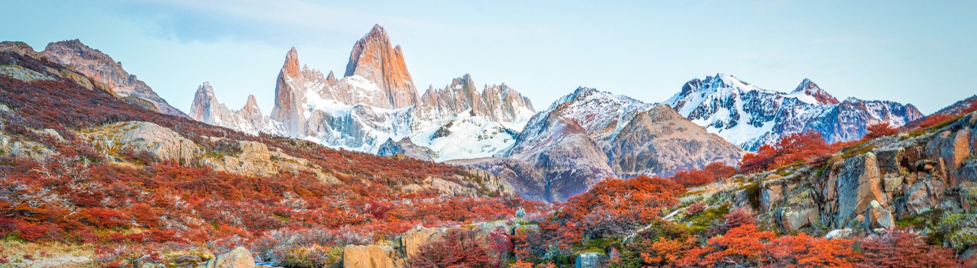 Patagonia Wine Regions | a Guide by Cellar Tours™