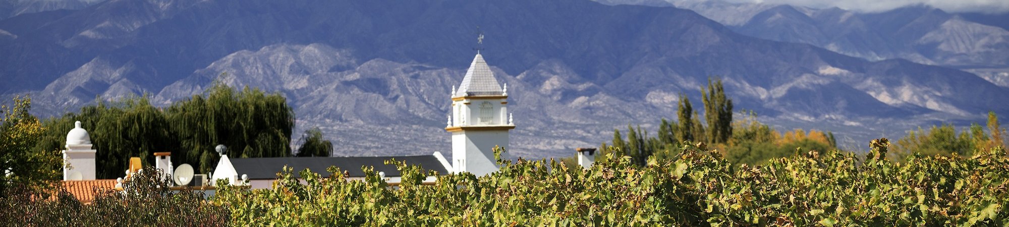 Salta Wine Region | a Guide by Cellar Tours™