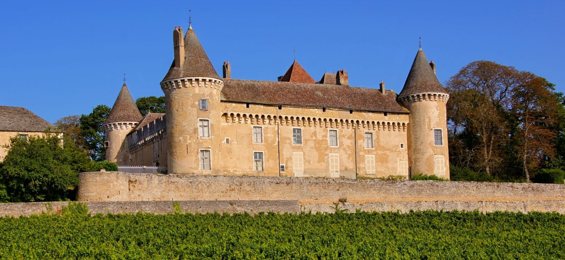 Rutas del vino de Borgoña | Visitas privadas a los mejores Châteaux