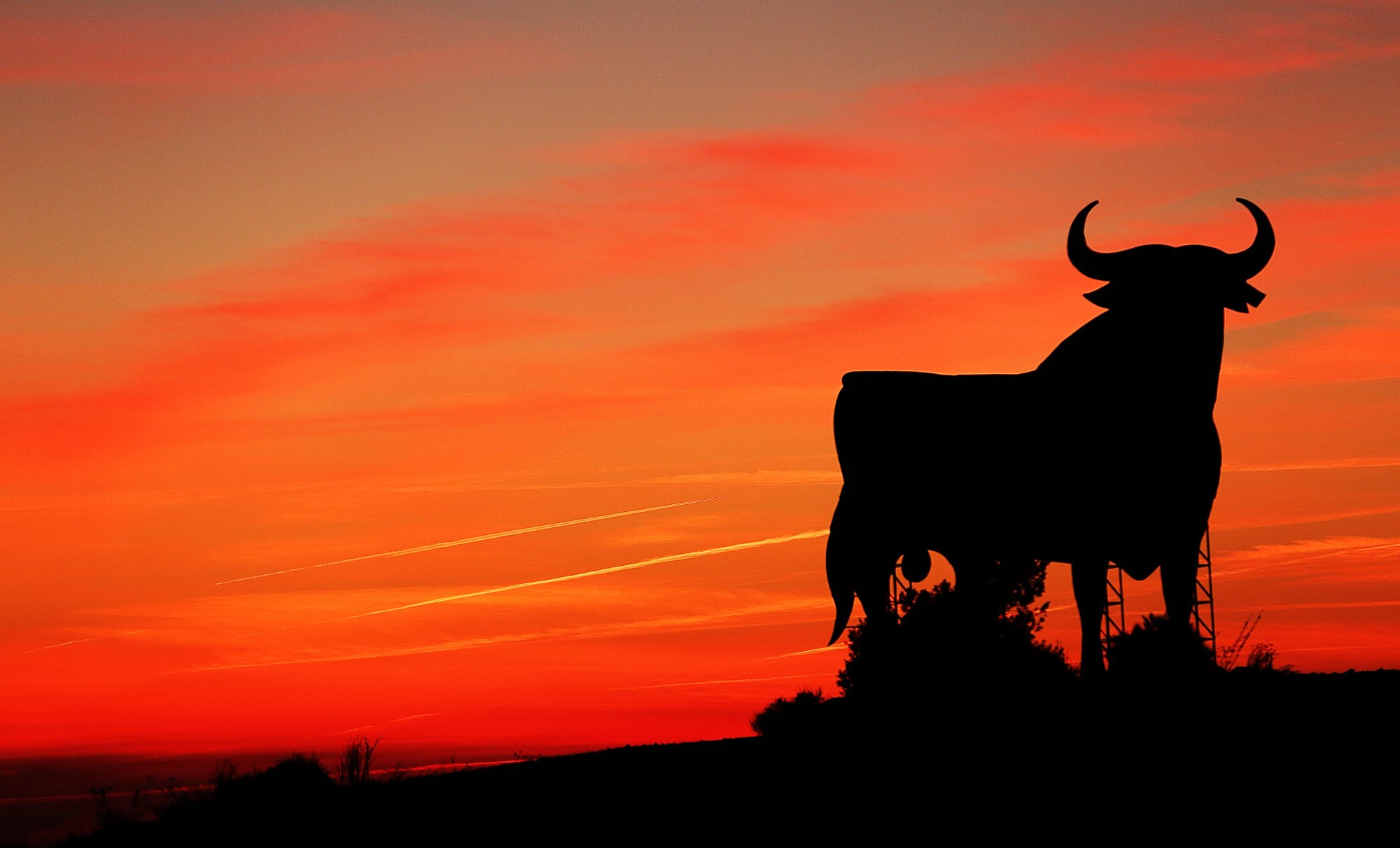 Exploring the Rich Heritage of Spanish Brandy | CellarTours™