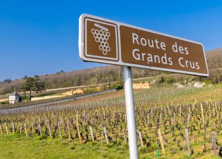 Côte d'Or Wine Region a Guide by Cellar Tours™