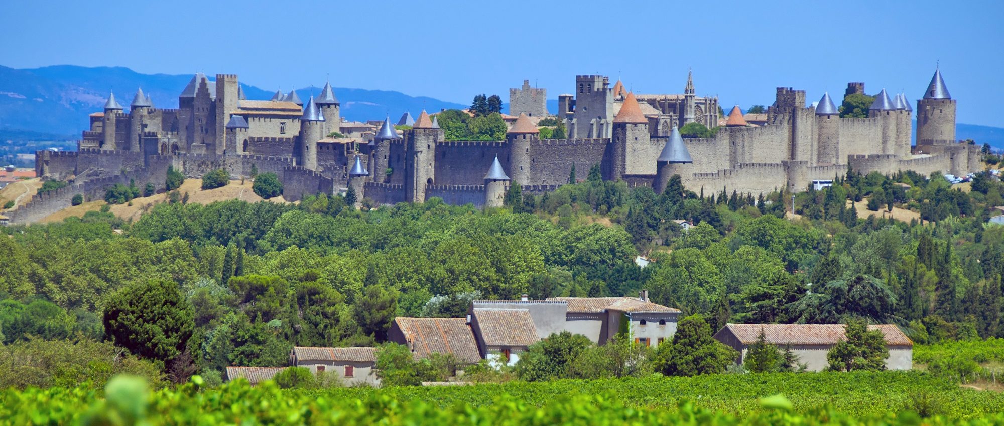 Languedoc Wine Tour » Cellar Tours