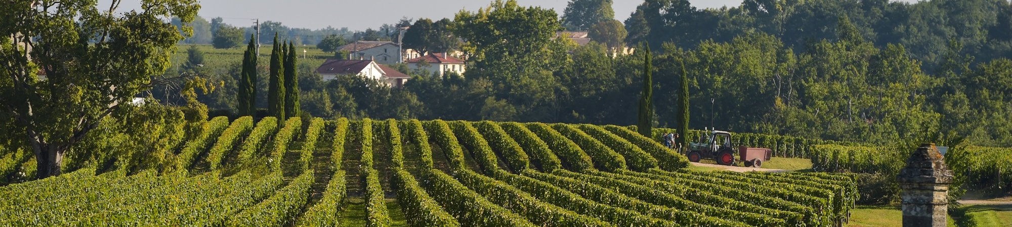 Pomerol Wine Region » Bordeaux » Cellar Tours