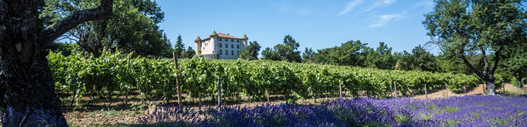 Provence » French Wine Region » CellarTours