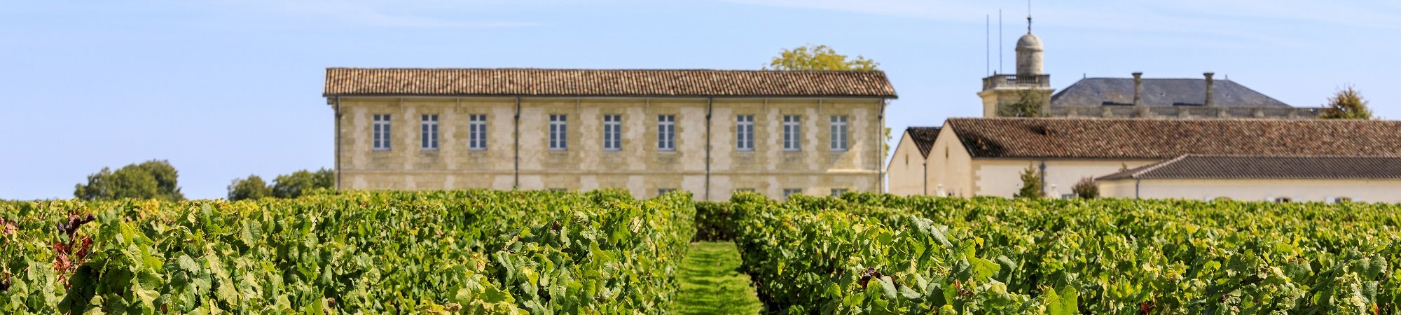 Saint Julien Wine Region » Bordeaux » Cellar Tours