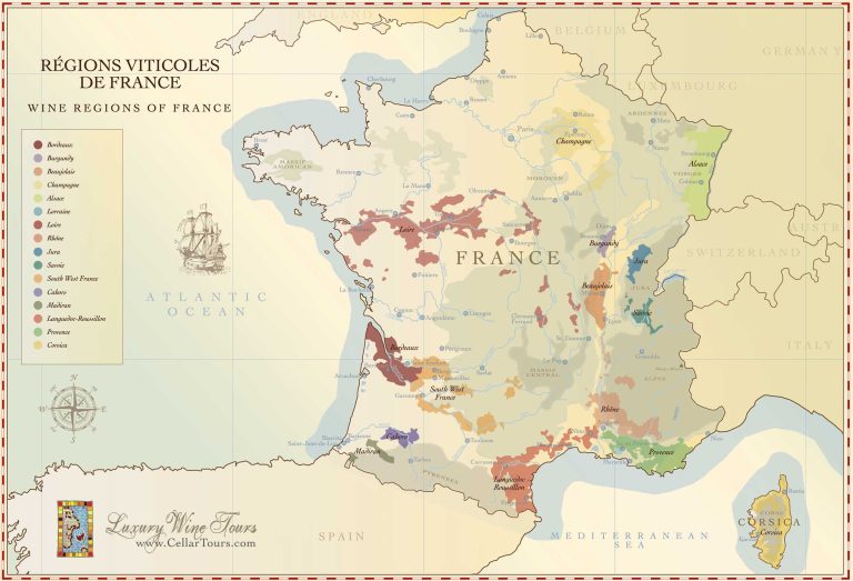 French Wine: Exploring Terroir and Appellations