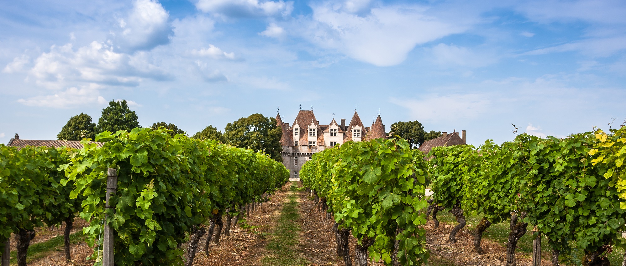 Bergerac Wine Region | a Guide by Cellar Tours™