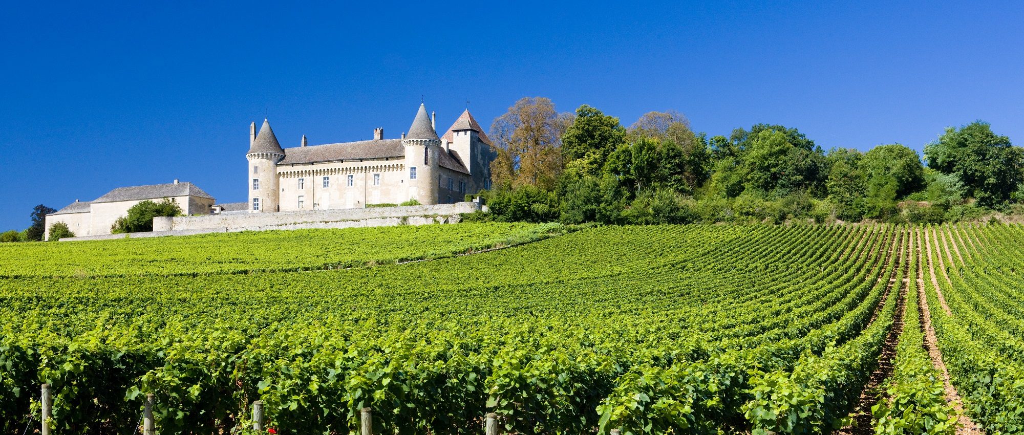 Burgundy » French Wine Region » CellarTours