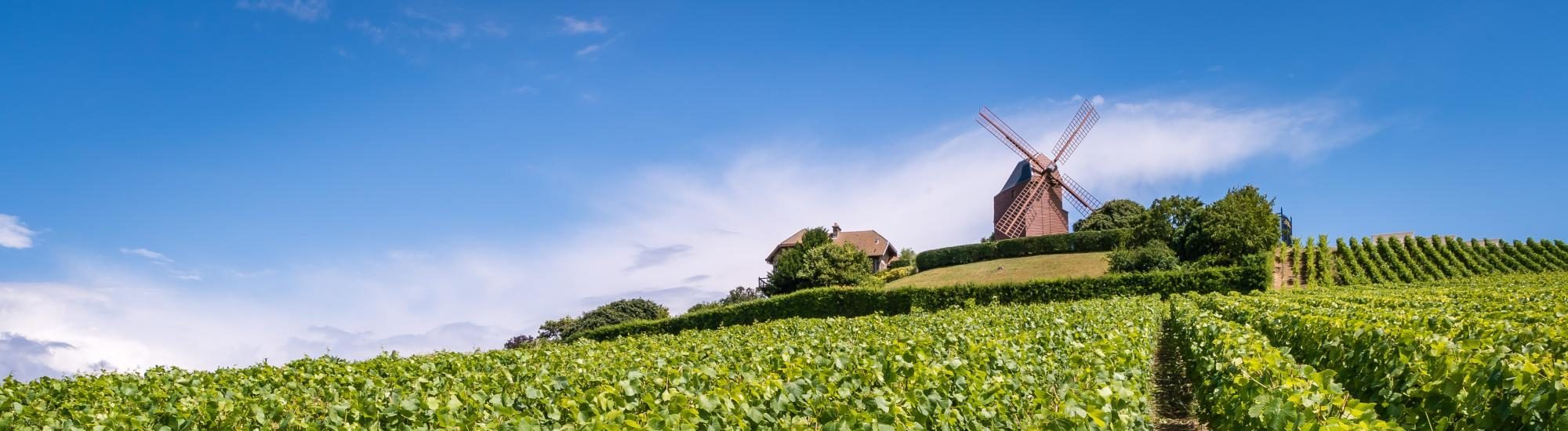 Champagne Wine Region | a Guide by Cellar Tours™