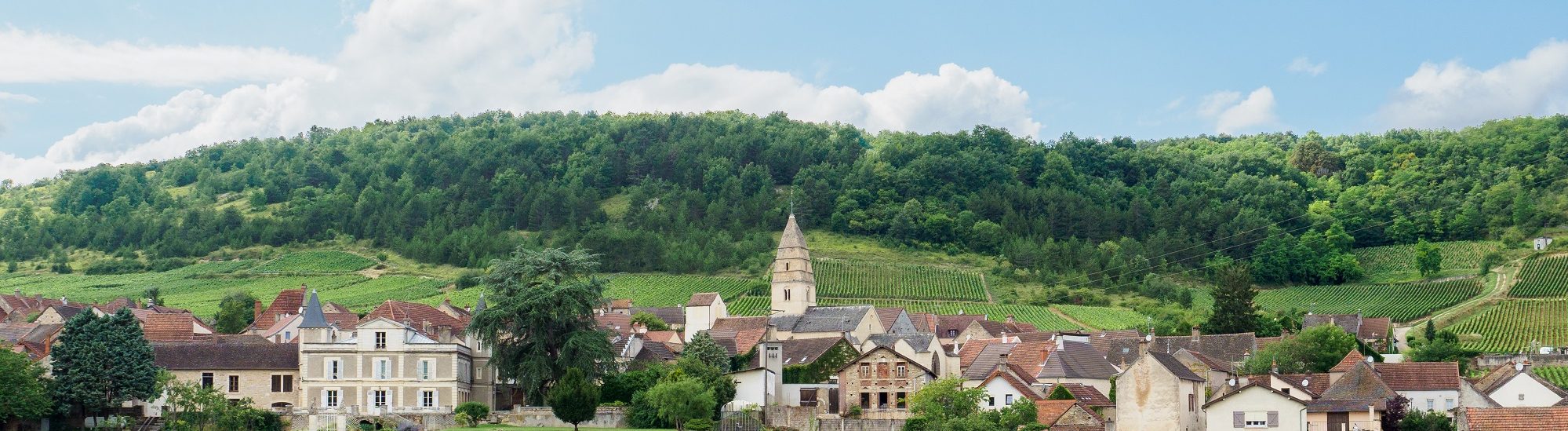 Côte Chalonnaise Wine Region | a Guide by Cellar Tours™
