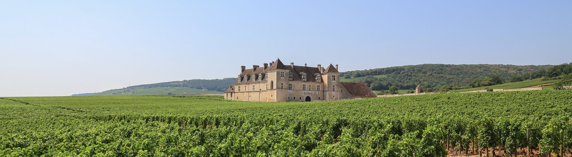Côte d'Or Wine Region a Guide by Cellar Tours™