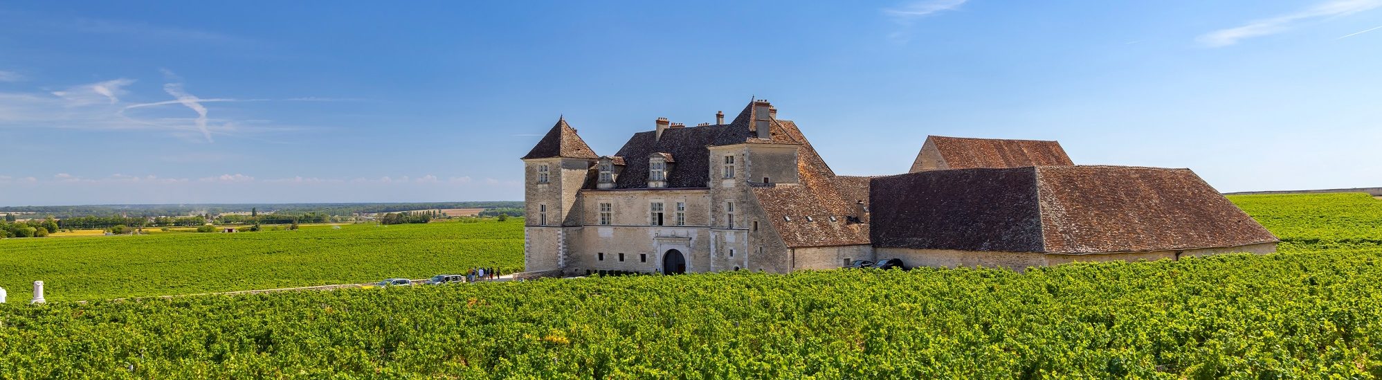 Côte de Nuits Wine Region | a Guide by Cellar Tours™