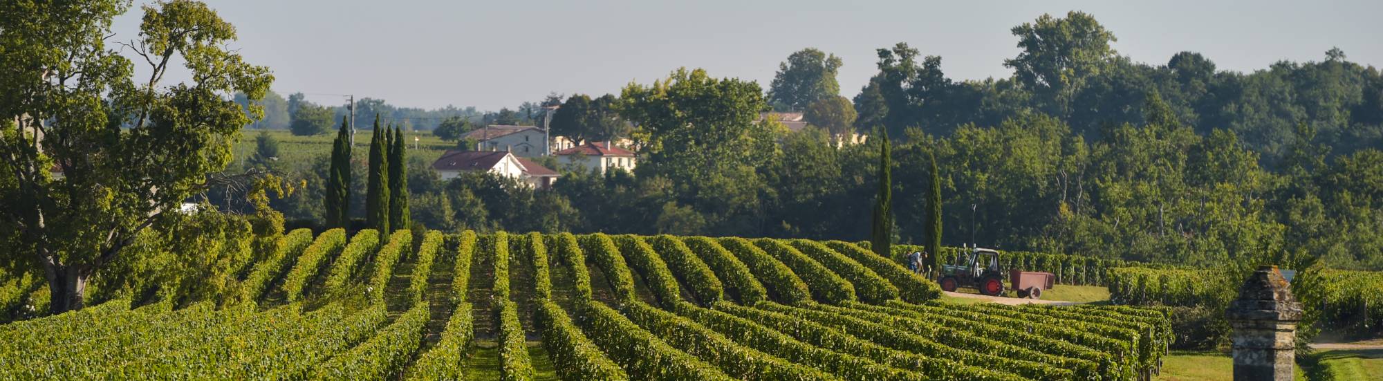 Pomerol Wine Region | a Guide by Cellar Tours™