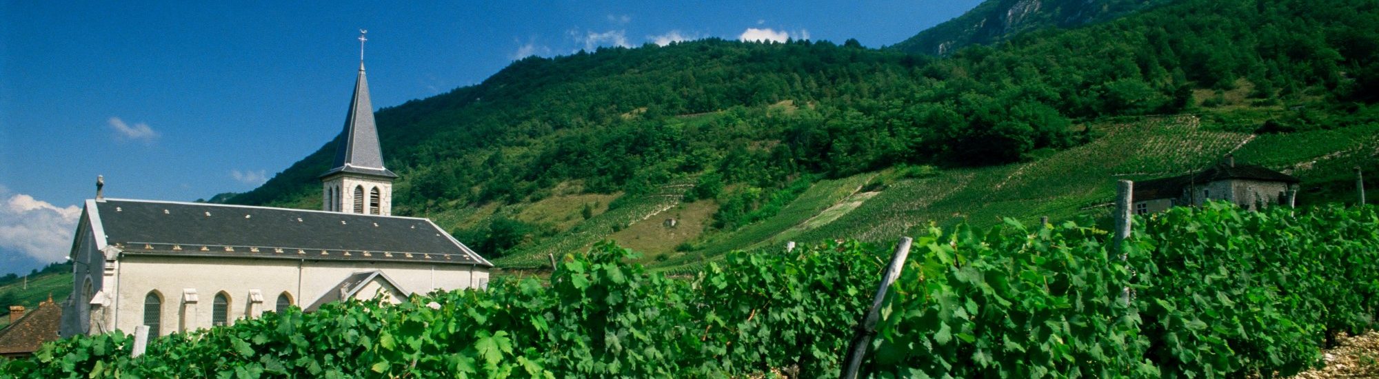 Savoie Wine Region | a Guide by Cellar Tours™