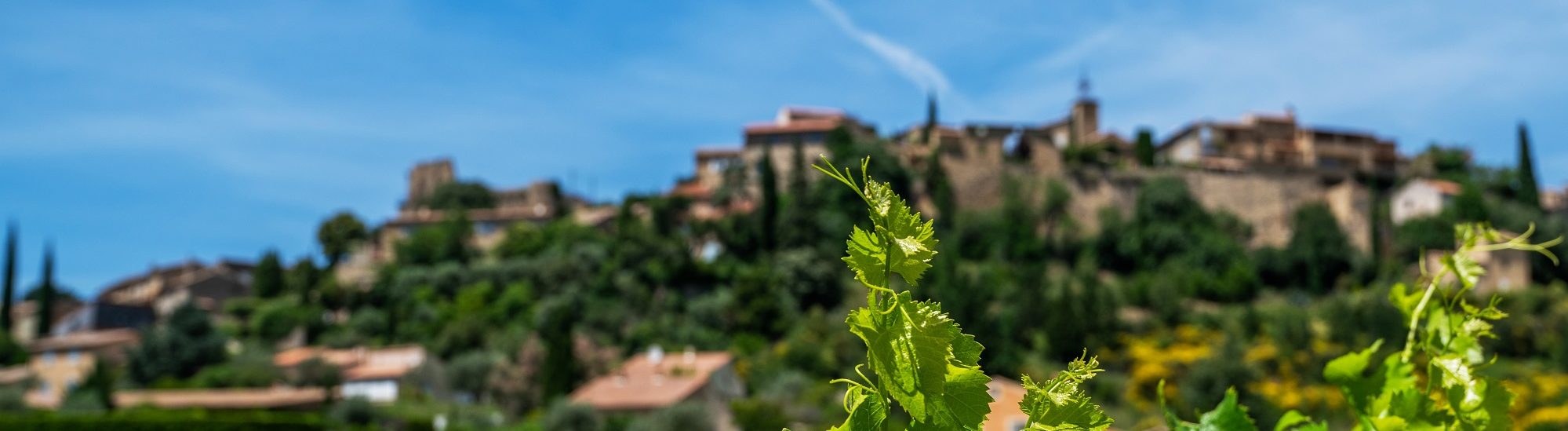 Tavel Wine Region | a Guide by Cellar Tours™