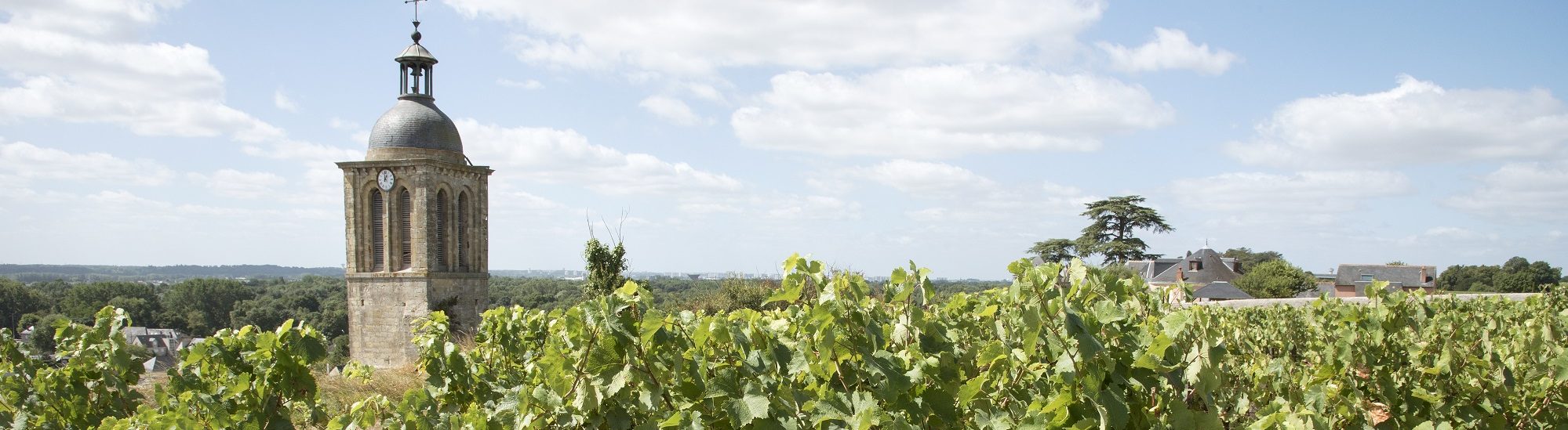 Vouvray Wine Region | a Guide by Cellar Tours™