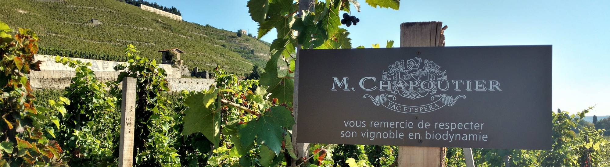 Chapoutier Winery | a Guide by Cellar Tours™