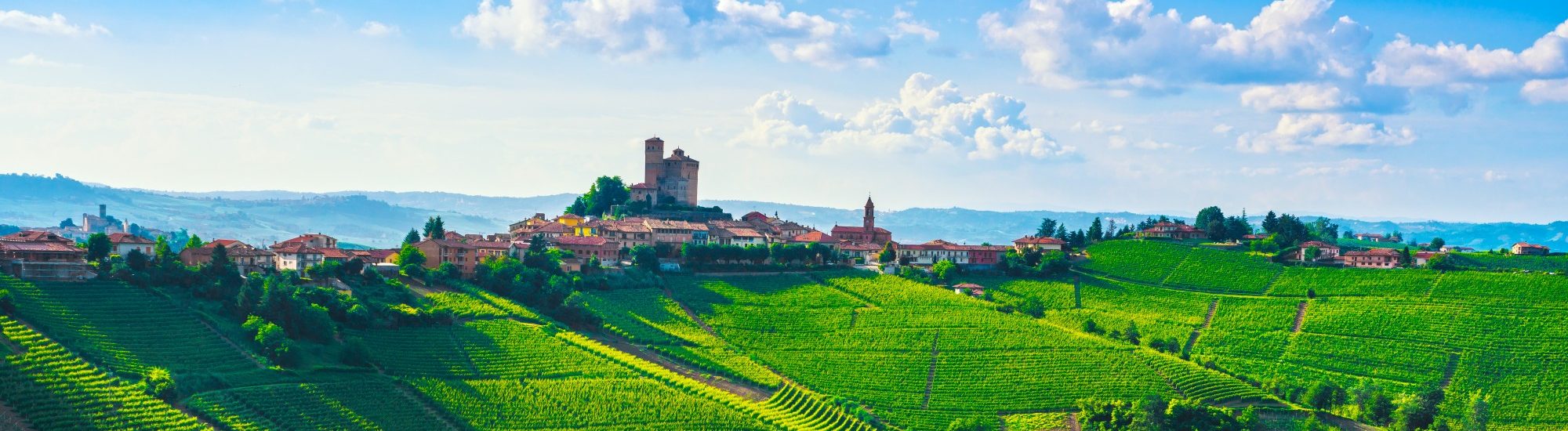 Barbera d'Alba Wine Region | a Guide by Cellar Tours™