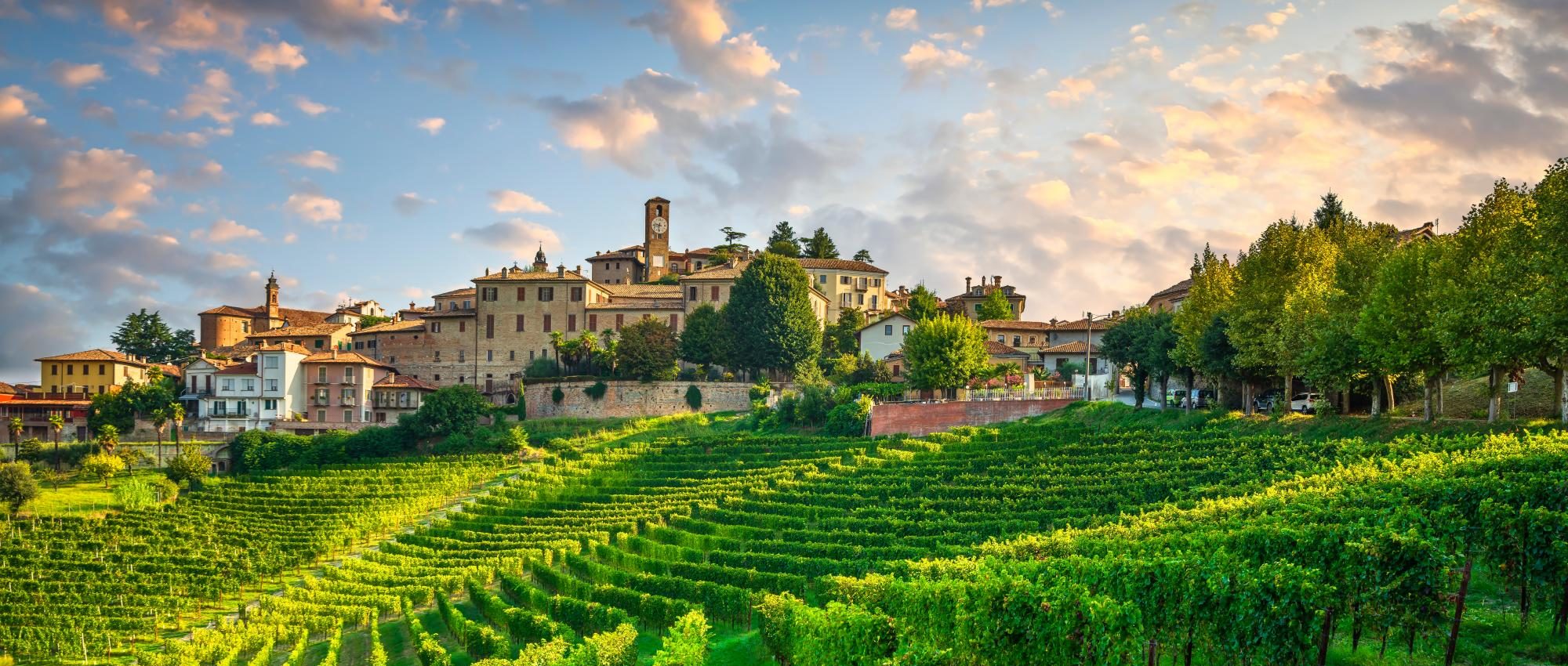Barolo & Barbaresco Wine Tours » The Wine of Kings, The King of Wines ...