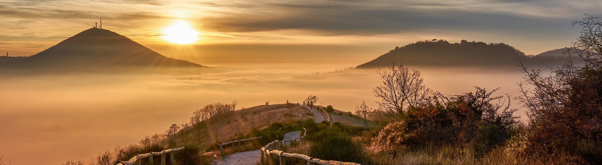 Colli Euganei Wine Region | a Guide by Cellar Tours™