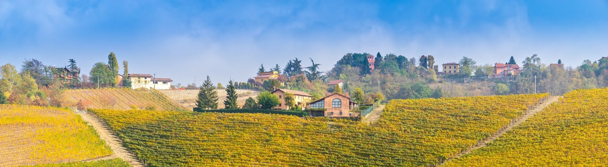 Cortese di Gavi Wine Region | a Guide by Cellar Tours™