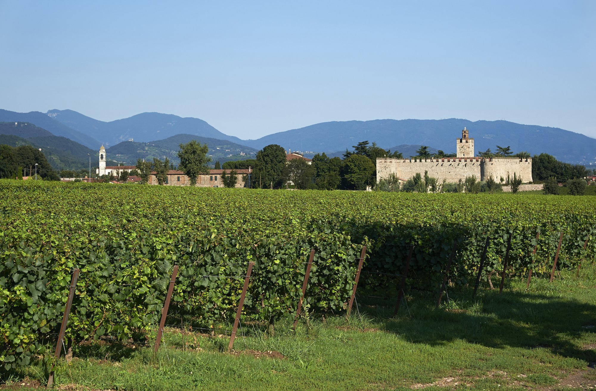 Franciacorta Wine Tours » Picturesque Lakeside Wine Region » CellarTours