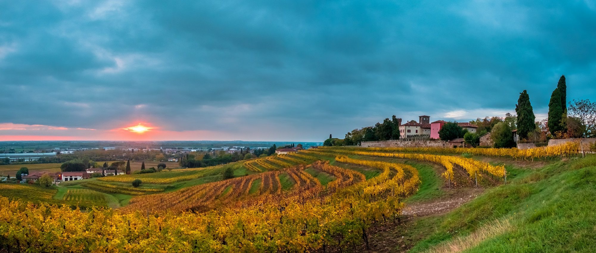 Friuli-Venezia Giulia Wine Region | a Guide by Cellar Tours™