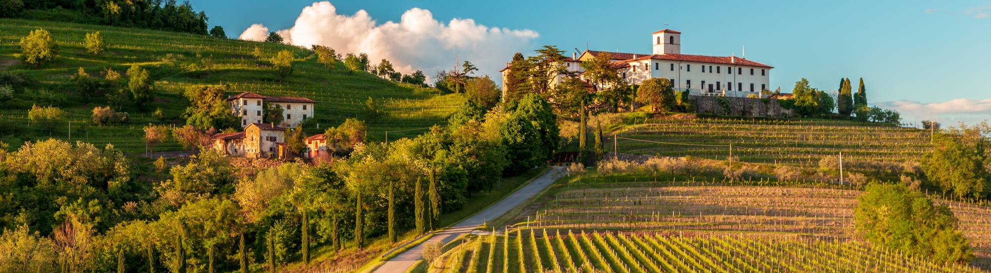 Friuli Venezia Giulia Wine Tour: Exclusive Private Visits & Super Whites